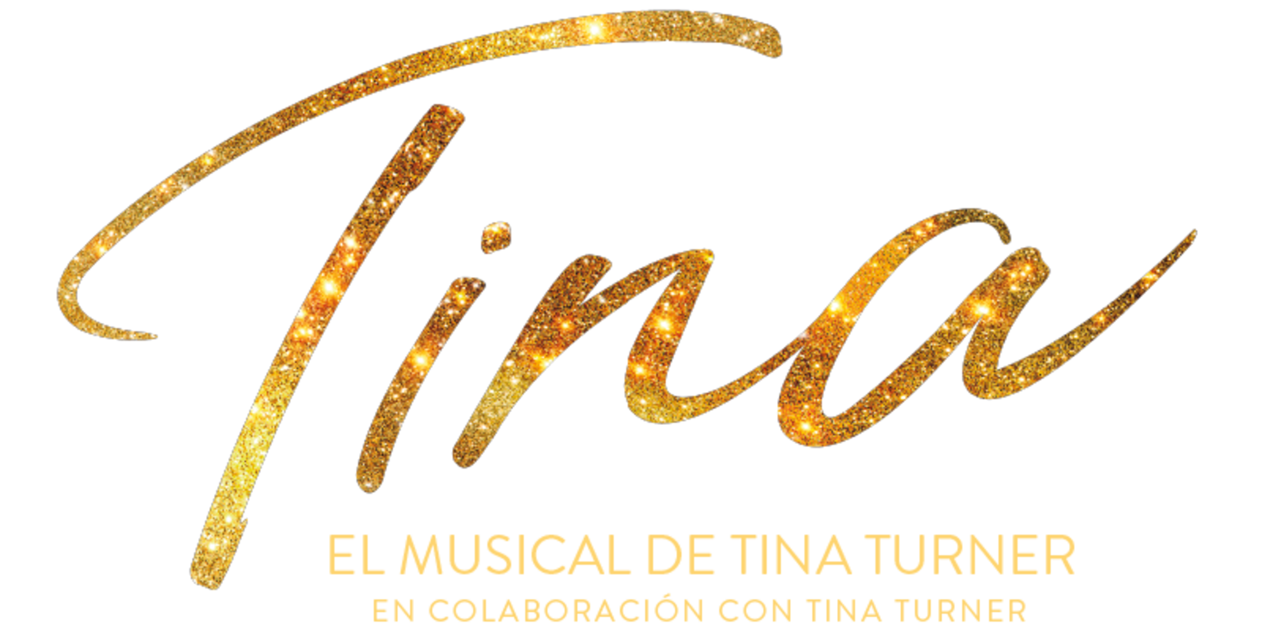 TINA, el musical de Tina Turner | Stage Entertainment
